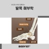 발목ankle Joint 해부학 발목 관절목말 종아리 관절을 구성하는 뼈 체형 분석 전문 솔루션 바디퍼스트
